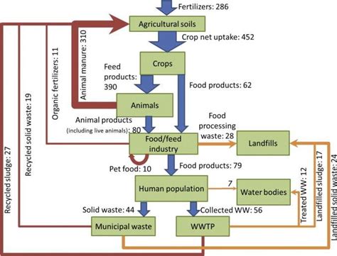 Substance Flow Analysis Of Phosphorus In France From Senthilkumar Et