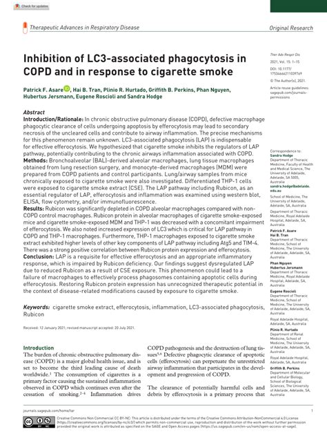 Pdf Inhibition Of Lc3 Associated Phagocytosis In Copd And In Response