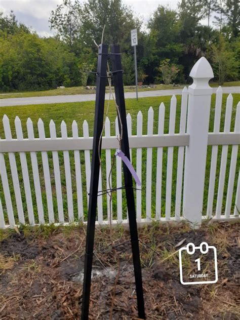 Root Rocket Fertilizer Packs For Sale