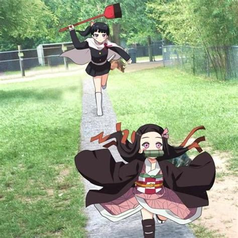 Get Back Here Nezuko Rkimetsunoyaiba