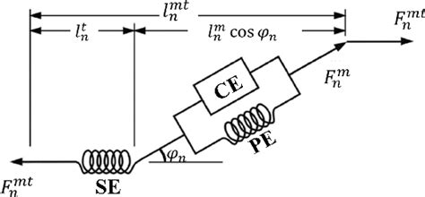 Figure 1 From The Bionic Neural Network For External Simulation Of
