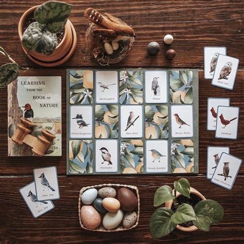 Memory Match Bird Card Game North American Birds Etsy