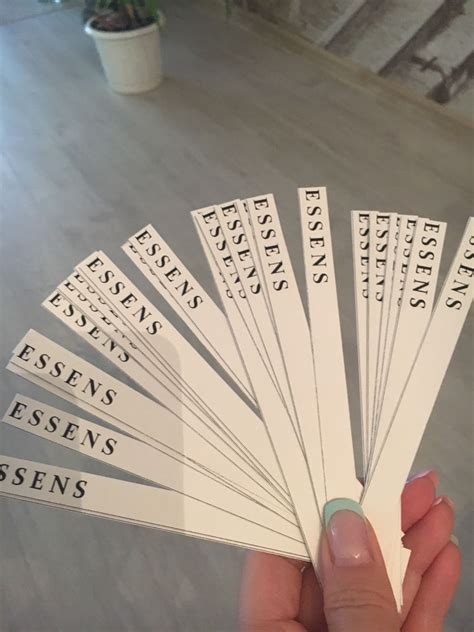 КАК НАЧАТЬ БИЗНЕС С ESSENS