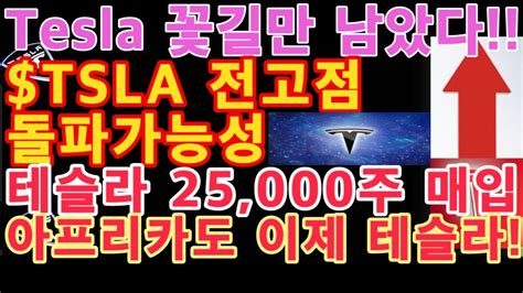 Tesla 꽃길만 남았다 Tsla 전고점 돌파가능성 테슬라 25000주 매입kimbal Musk 아프리카도 이제 테슬라 테슬라 투자 일론 머스크