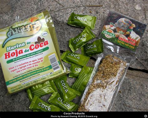 Erowid Plants Vaults Images Erythroxylum Coca Producti2008e0405disp