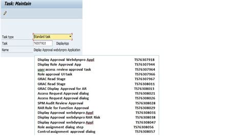 Solved Task Specific Customizing For Access Control Is No Sap