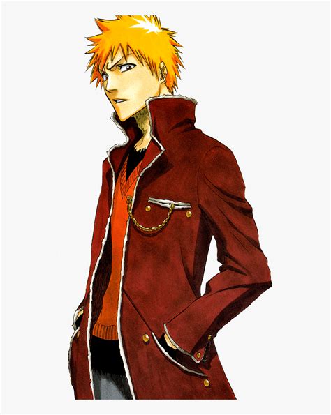 Ichigo Kurosaki Normal Clothes