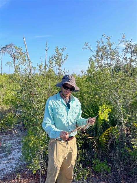 Aaron S David Phd Archbold Biological Station