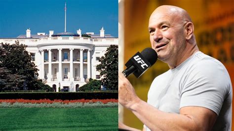 700k For Grass Fans In Disbelief As Dana White Reveals Ufc White