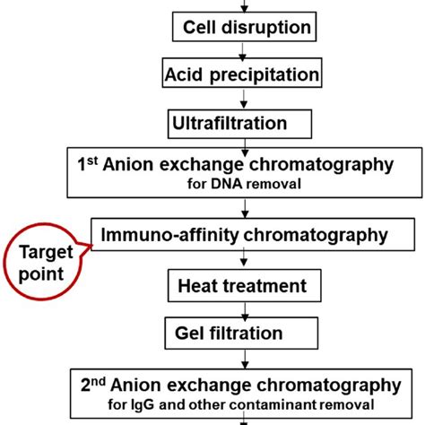 The Graphical Presentation Of Rhbsag Binding On Capto Mmc Resin In The Download Scientific