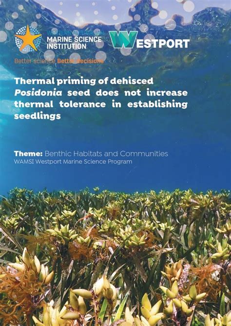 2 Benthic Habitats And Communities Western Australian Marine Science