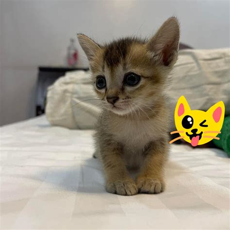 28 ရက်နေ့ငလျင်မှာ ထိတဲ့ကလေးများ ကလေးတွေလဲ တော်တော်များများ ထိသွားတာပဲ သ