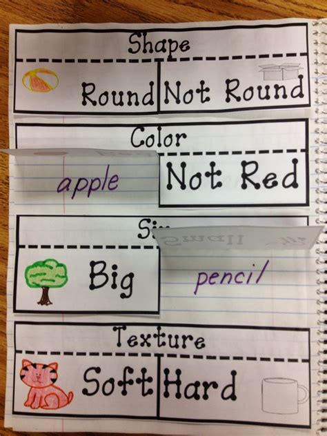 Live Laugh Teach First Grade Science Interactive Notebook