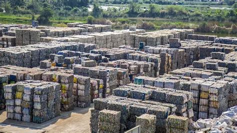 Explained What Is Biotransformation Technology And How Can It Make