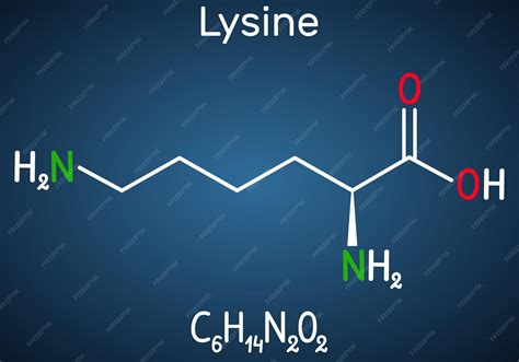 Premium Vector Lysine L Lysine Lys K Amino Acid Molecule Structural