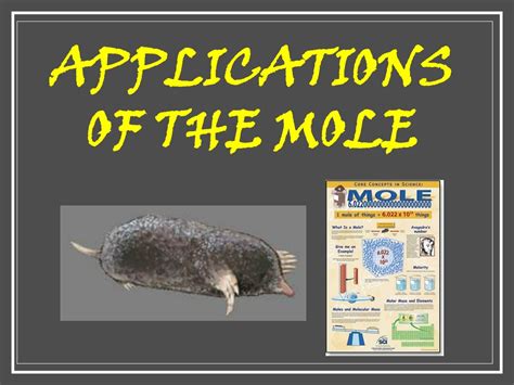 Ppt Molar Mass Calculations And Percent Composition Powerpoint
