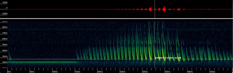 Spectrogram Laatvlieger Ecologisch Onderzoek Door Econatura