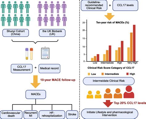 Biomarkers Ccl17 As An Inflammatory Biomarker Enhances Cardiovascular