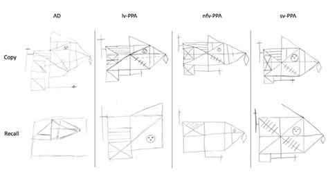Rey Complex Figure Copy And 3 Minute Recall Copy Performance Was Very
