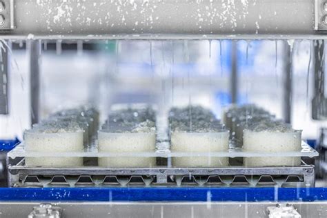 Proceso De Elaboración Del Queso Fresco Fibosa