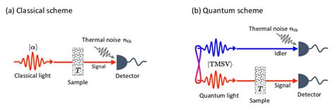 Diagrammatic Illustrations Of The Classical And Quantum Setups