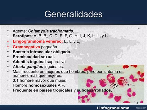 Linfogranuloma Venereo Ppt Reproductive Health Diseases And