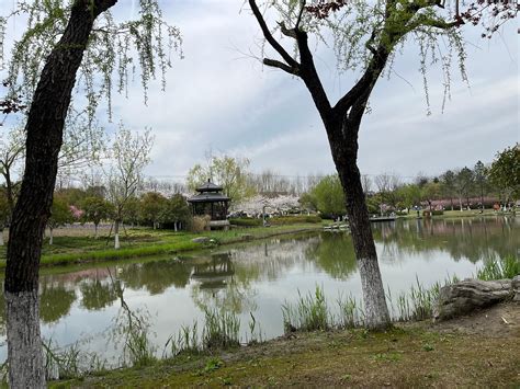 Spring Lake Free Photo On Pixabay Pixabay