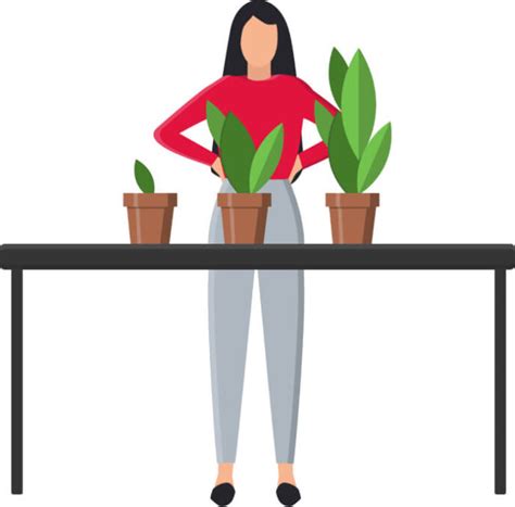 Elevating Machine Learning Code Quality Qodo