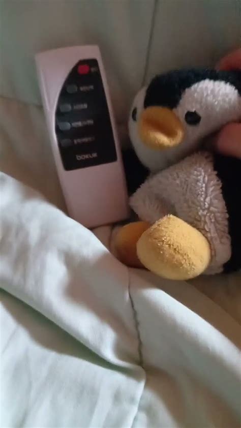 제목 없음음원 출처푸들커플노래펭돌이코리인형 Youtube