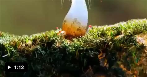 Artist Luke Penry Used Trapcode Particular And Magicbulletsuite Colorista To Help Bring Life To