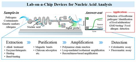 Lab On A Chip Devices For Nucleic Acid Analysis In Food Safety