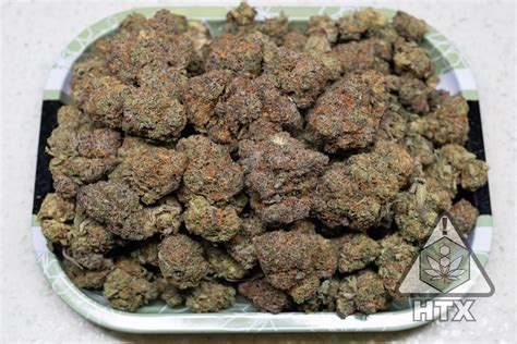 Life Hack The Grow Room