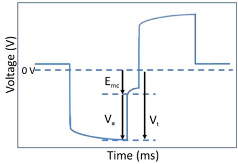 10 Schematic Of A Biphasic Voltage Transient Potential The Metrics