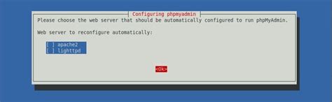 How To Install Phpmyadmin With Nginx On Linux Mint 19 Linux Mint 18