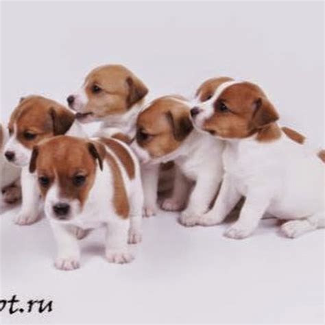 Malberi Malberi Youtube