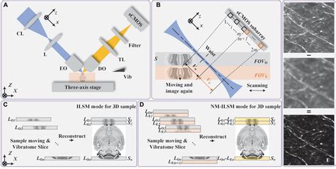 Light Sheet Microscopy With Attenuation Compensated Propagation Invariant Beams At Aidan
