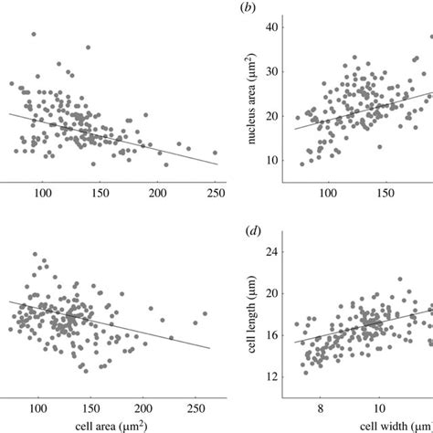 relationships between morphological variables of erythrocytes a n