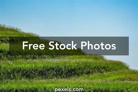 Plain Backrounds Photos Download The Best Free Plain Backrounds Stock