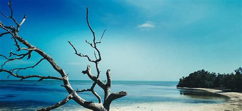 A Compassion Challenge