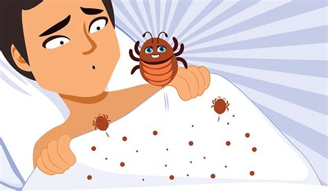 Gnats What Is Types Life Cycle Dangers And Prevention