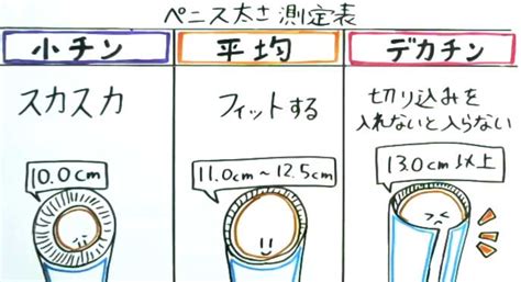 ペニスの長さ・太さサイズを一発診断！【トイレットペーパーの芯】 セクテクサイト