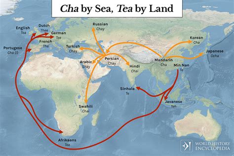 Map Of Tea And Cha Movement Around The Globe