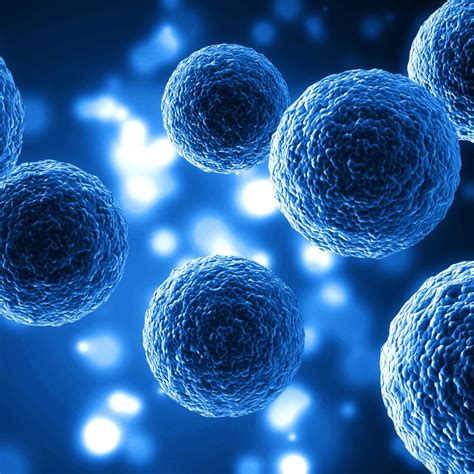 Bulk Rna Sequencing Service Singleron