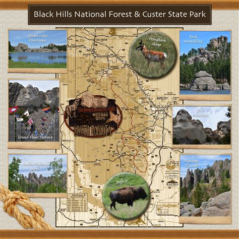Black Hillscuster State Park Section Page Sequoia National Park