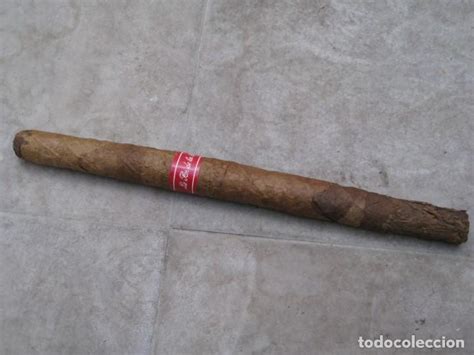 Gran Puro Flor De Isabela 36cm Comprar En Todocoleccion 152338262