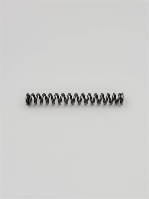 Para Main Spring Large Sarco Inc