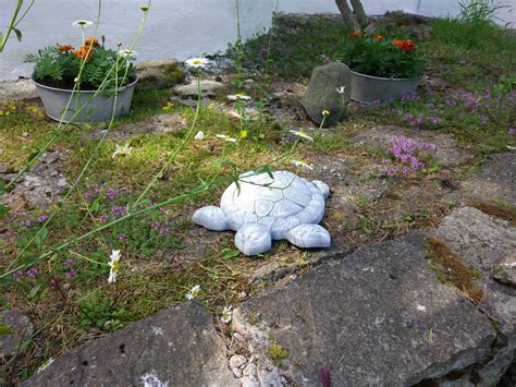 Vanaaegneee Vanaaegneee Added A New Photo