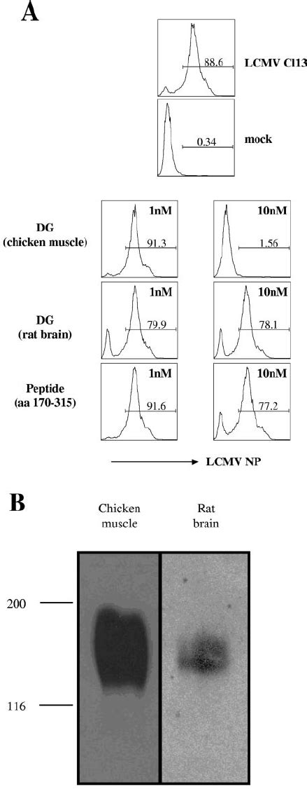 Blocking Of Lcmv Cl 13 Infection By Soluble ␣ Dg A Flow Cytometric Download Scientific