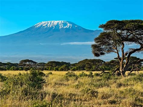 Mount Kenya National Park