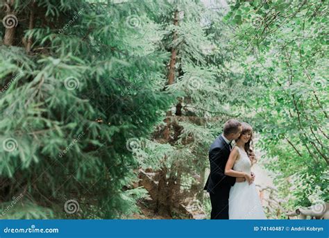 Beautiful Young Married Couple Standing Embracing In The Forest Stock